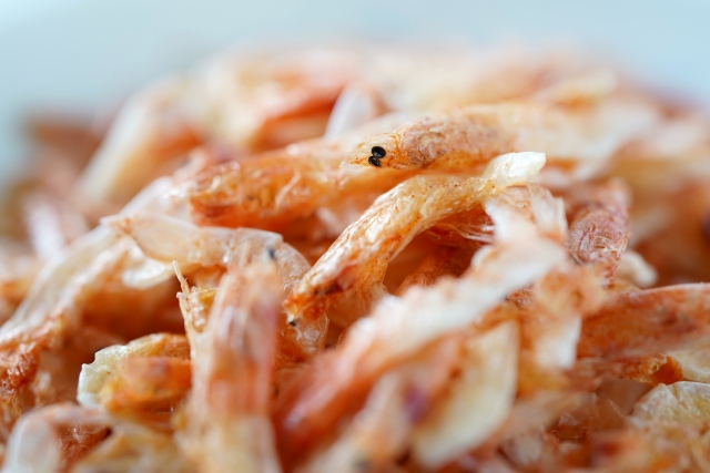 Sakura-Ebi shrimp | 一般社団法人 地域振興交流協会 Local Network Service